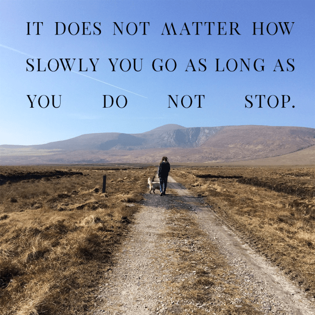 The Top 4 Ways Focus Can Impact Results – Compass Rose Consulting
